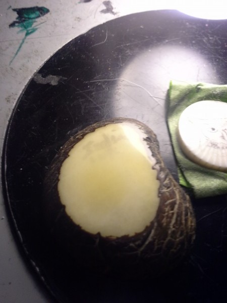 Ivory Alternative: Tagua Nut - scrimshaw.com